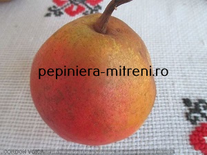 Pepiniera Mitreni - Peri